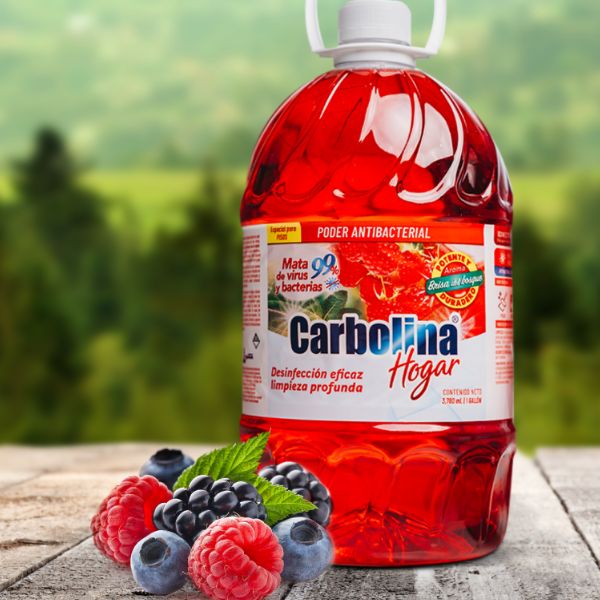 Desinfectante Carbolina Hogar Brisas - Hola Compras